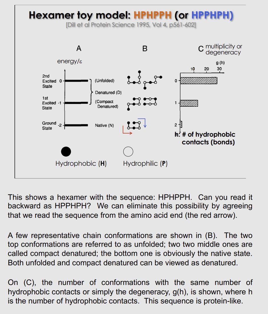 (a) Refer to the HPHPPH hexamer toy model below. Let | Chegg.com