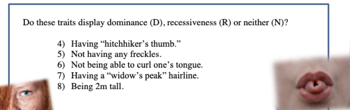 Solved Do these traits display dominance (D), recessiveness | Chegg.com
