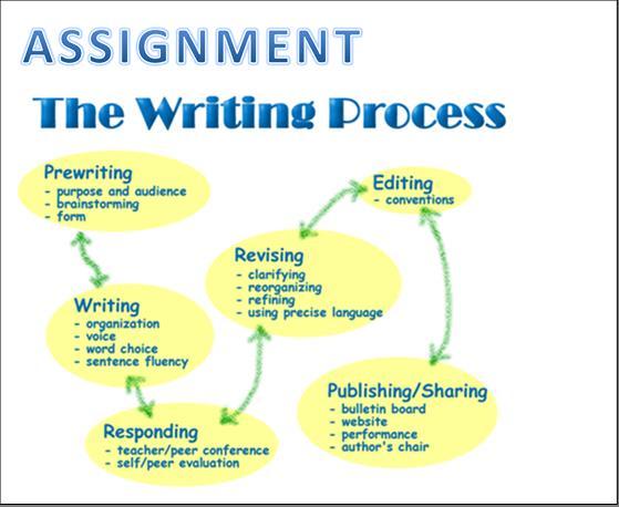 Solved ASSIGNMENT The Writing Process Prewriting purpose and | Chegg.com