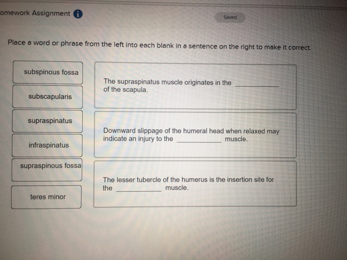 Solved omework Assignment Saved Place a word or phrase from | Chegg.com Solved omework Assignment Saved Place a word or phrase from | Chegg.com