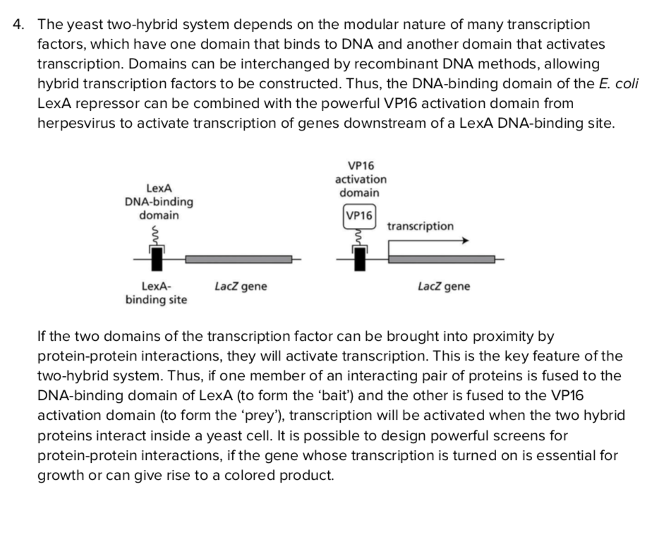 Solved 4. The yeast two-hybrid system depends on the modular | Chegg.com