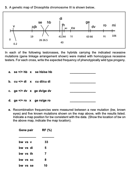 Solved A genetic map of Drosophila chromosome III is shown | Chegg.com