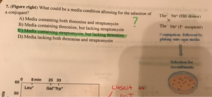 Solved What could be a media condition allowing for the | Chegg.com