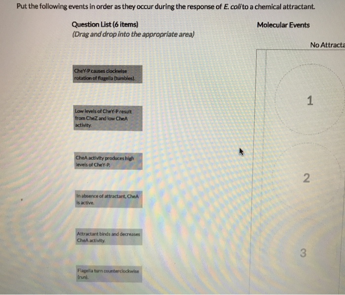 Solved Put the following events in order as they occur | Chegg.com