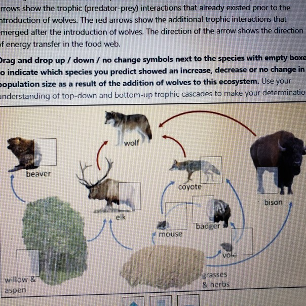 Solved Does the species show an increase, decrease, or no | Chegg.com