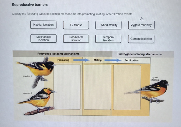 Solved Reproductive barriers Classify the following types of | Chegg.com