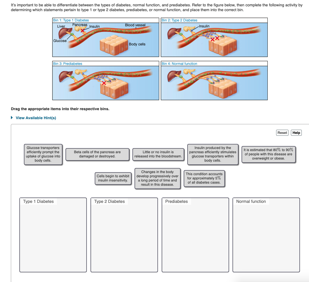 Solved It's important to be able to differentiate between | Chegg.com
