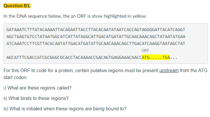 Solved Question B1. In the DNA sequence below, the an ORF is | Chegg.com