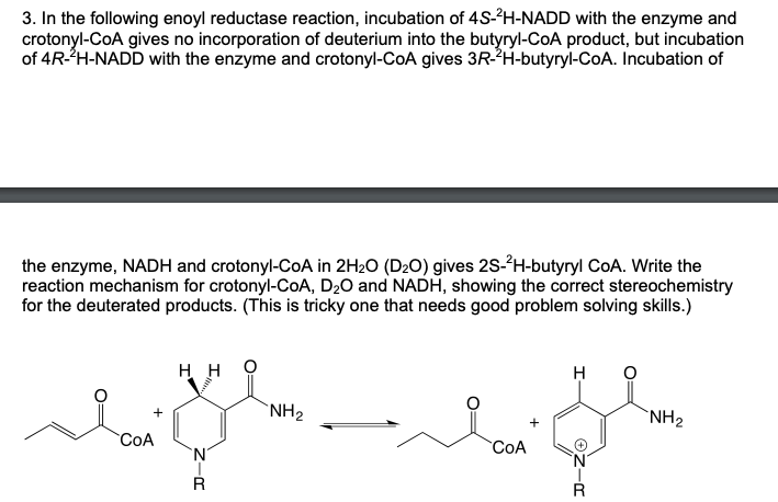3. In the following enoyl reductase reaction, | Chegg.com