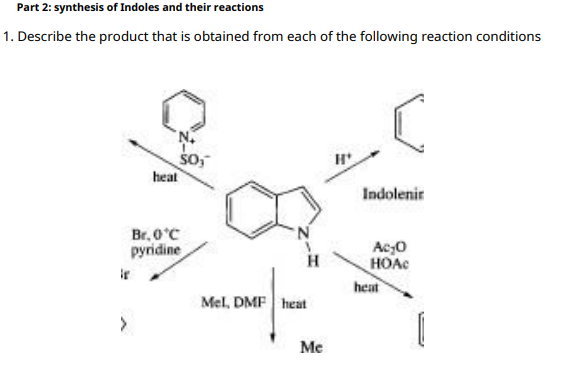 Solved Part 2: synthesis of Indoles and their reactions 1. | Chegg.com
