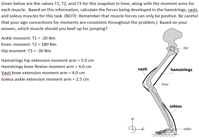 Given below are the values T1, T2, and T3 for this | Chegg.com