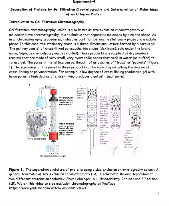 Experiment-4 Separation of Proteins by Gel Filtration | Chegg.com