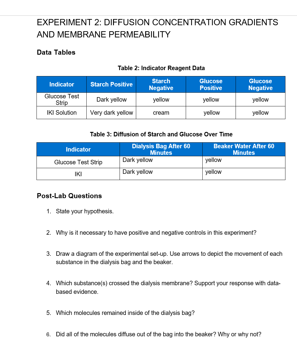 Solved EXPERIMENT 2: DIFFUSION CONCENTRATION GRADIENTS AND | Chegg.com