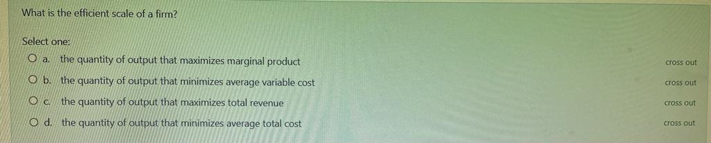 Solved What is the efficient scale of a firm? Select one: O | Chegg.com