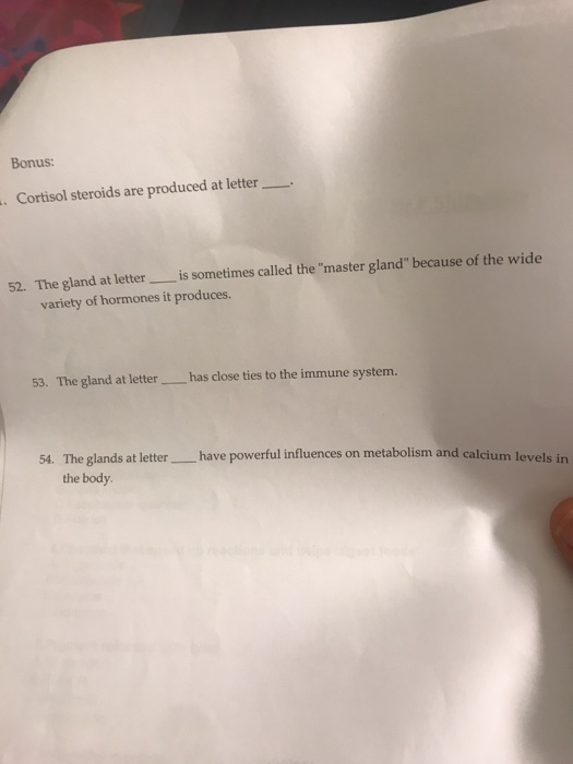Solved LABELING 김 ! 50. The organs at letter produce | Chegg.com