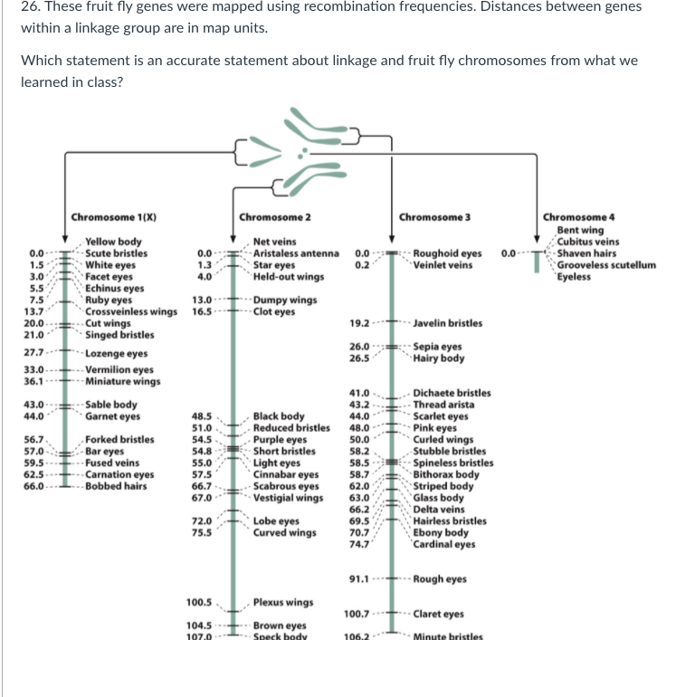 Solved 26. These fruit fly genes were mapped using | Chegg.com