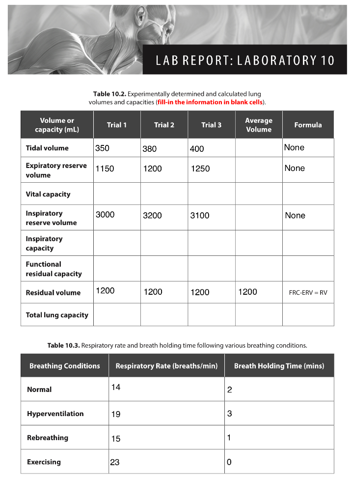 Solved LAB REPORT: LABORATORY 10 Table 10.2. Experimentally | Chegg.com