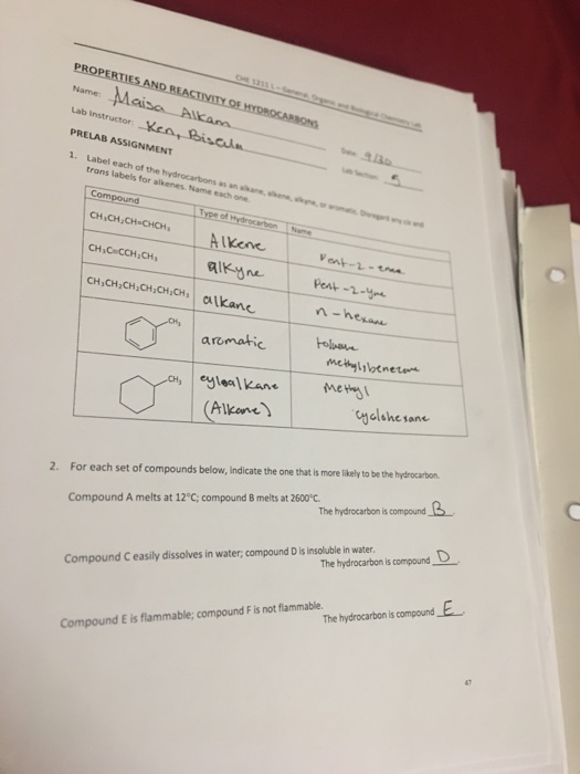 Solved kam Lab Instructor PRELAB ASSIGNMENT 1. Label each of | Chegg.com