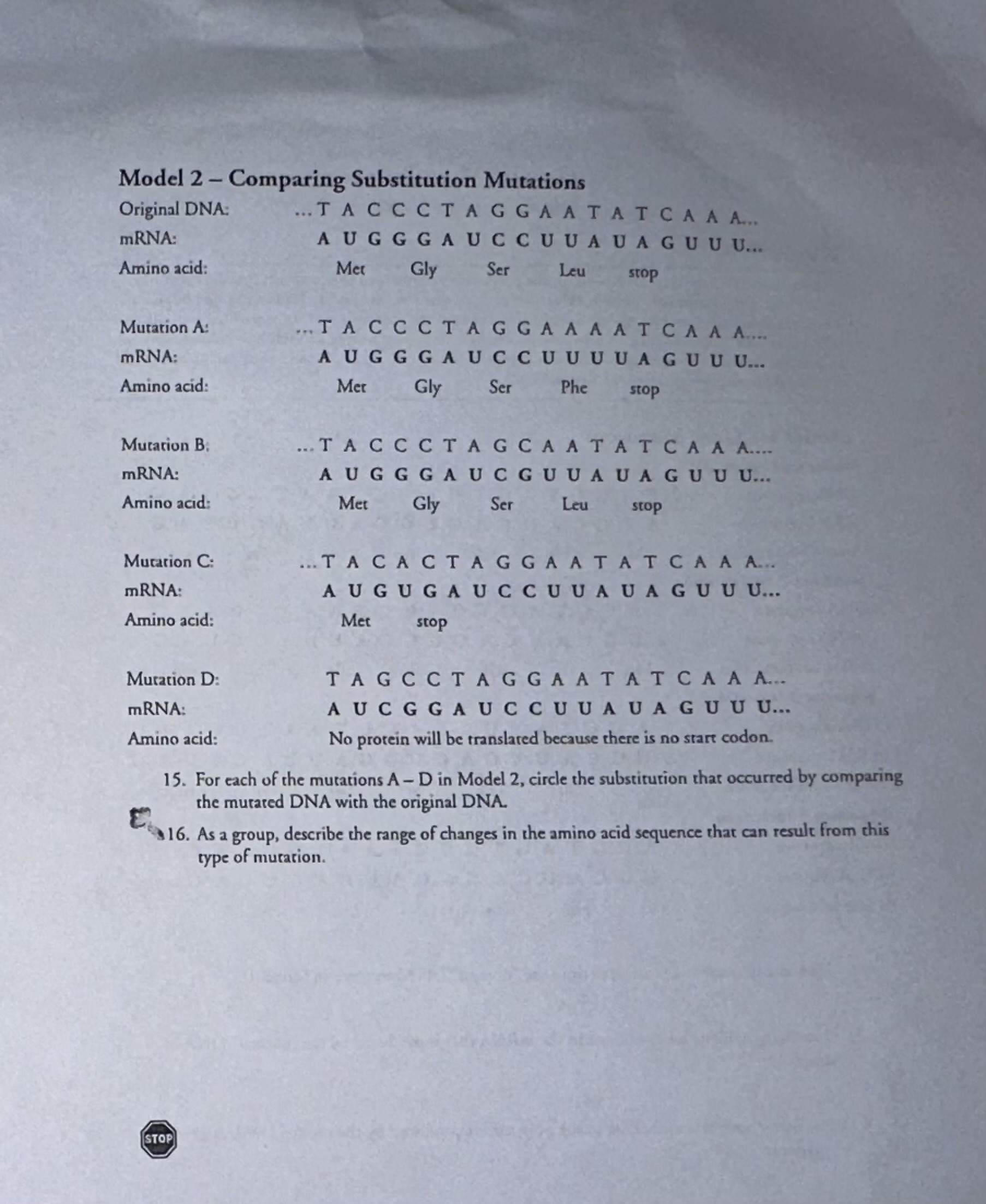 Solved 15. For each of the mutations A-D in Model 2, circle | Chegg.com