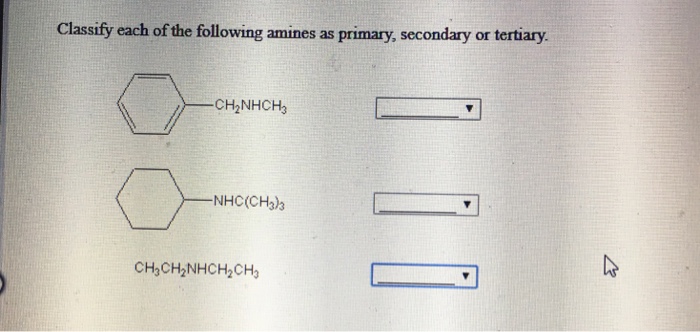 Solved Classify each of the following amines as primary, | Chegg.com