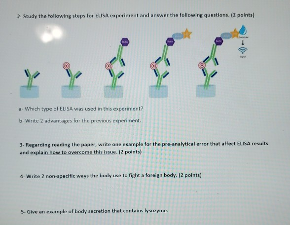 Solved 2. Study the following steps for ELISA experiment and | Chegg.com
