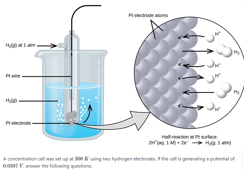 Solved Pt electrode atoms H+ H2(g) at 1 atm H2 Ht Pt wire H | Chegg.com