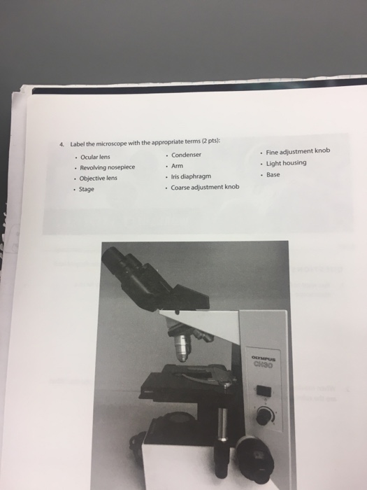 Solved WORKSHEET: EXERCISE2 NAME SECTION DATE: QUESTIONS (1 | Chegg.com