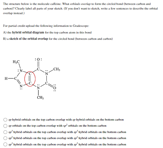 Solved The structure below is the molecule caffeine. What | Chegg.com