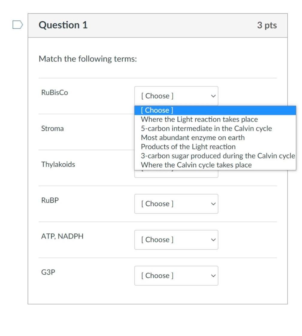 Solved Match the following terms: RuBisCo Stroma | Chegg.com