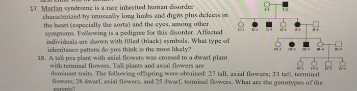 Solved 17. Marfan syndrome is a rare inherited human | Chegg.com