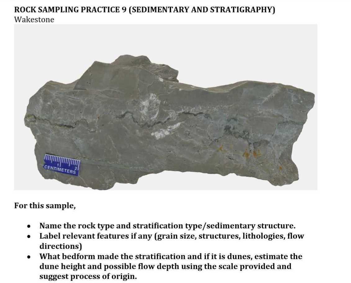 Solved ROCK SAMPLING PRACTICE 9 (SEDIMENTARY AND | Chegg.com