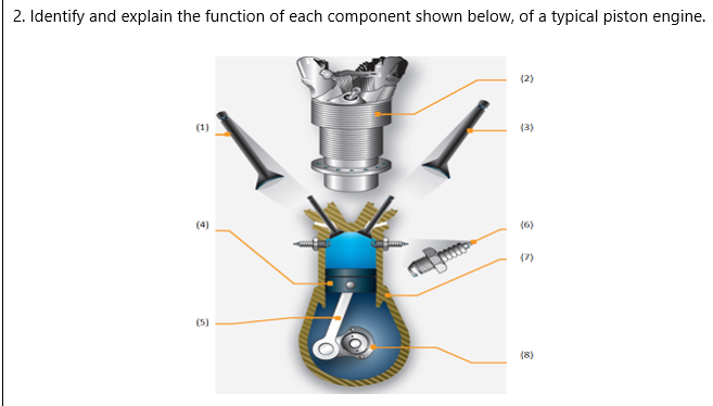 Solved 2. Identify and explain the function of each | Chegg.com