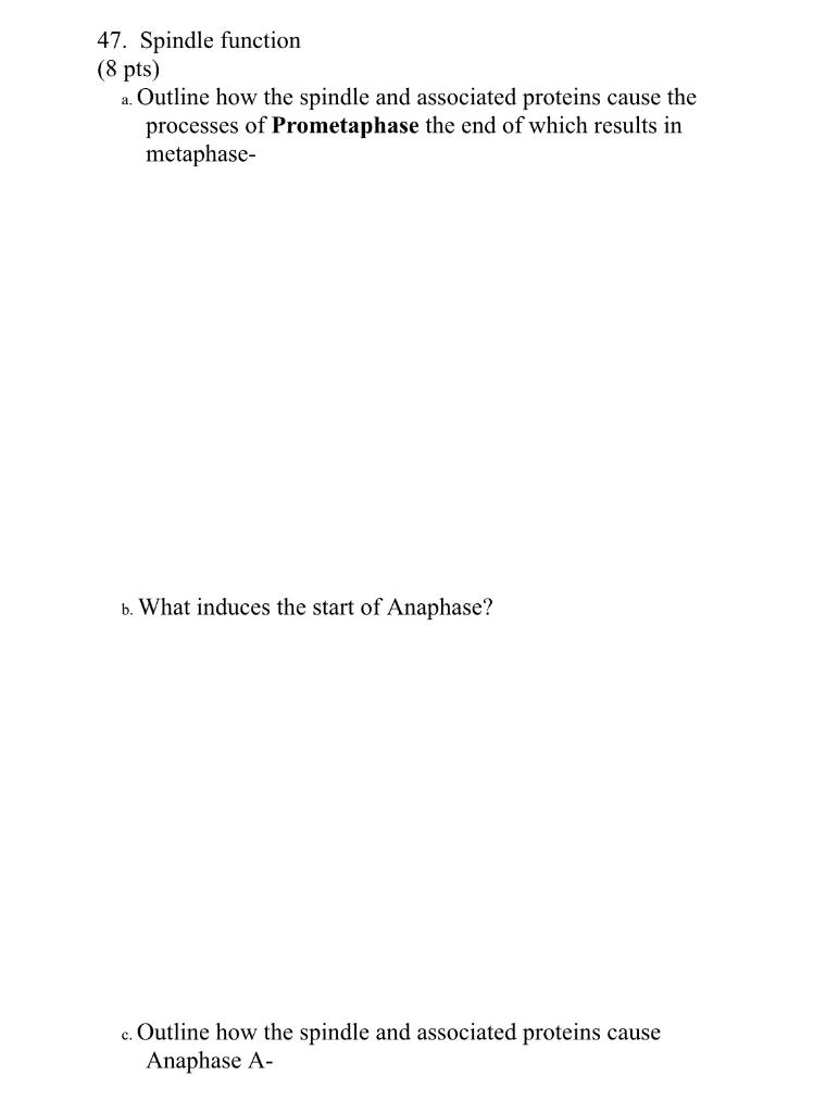 Solved 47. Spindle function (8 pts) a. Outline how the | Chegg.com