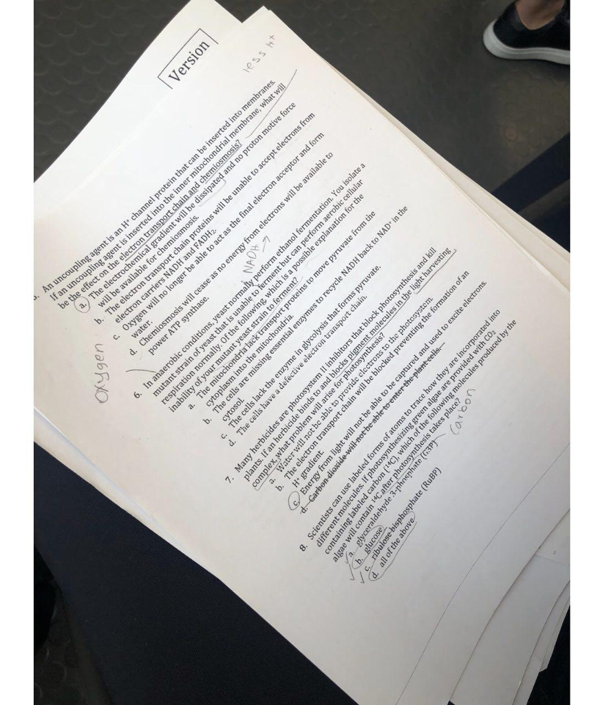 Solved be the effect on If an uncoupling agent is in 3. An | Chegg.com