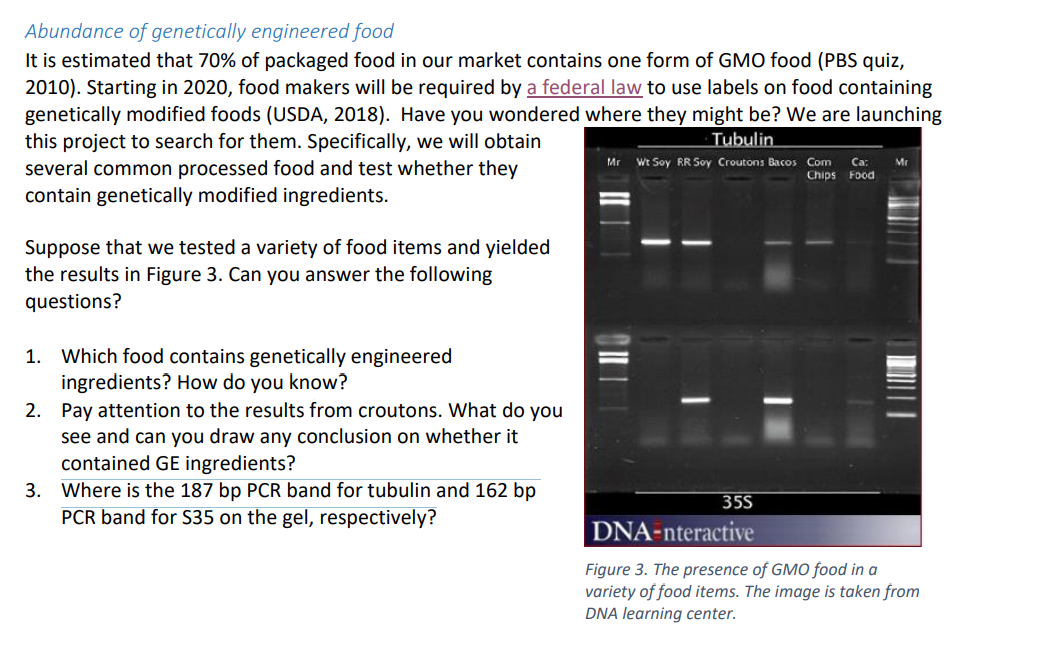 Abundance of genetically engineered food It is | Chegg.com