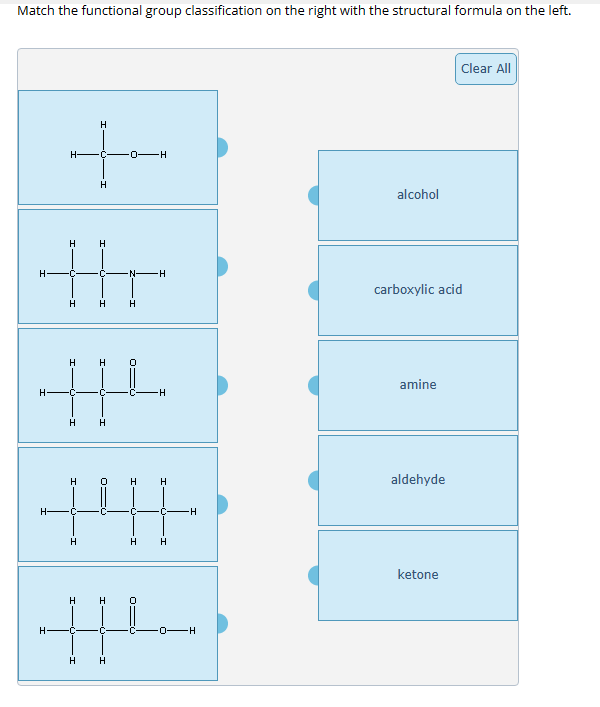 Solved Classify each of the following amines as primary, | Chegg.com