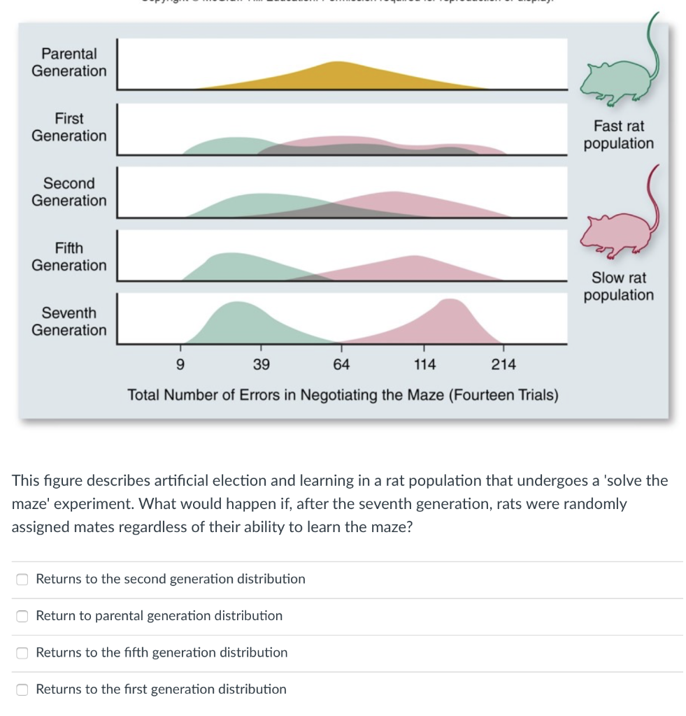 Solved Parental Generation First Generation Fast rat | Chegg.com