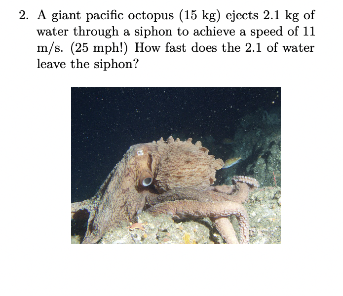 Solved 2. A giant pacific octopus (15 kg) ejects 2.1 kg of | Chegg.com