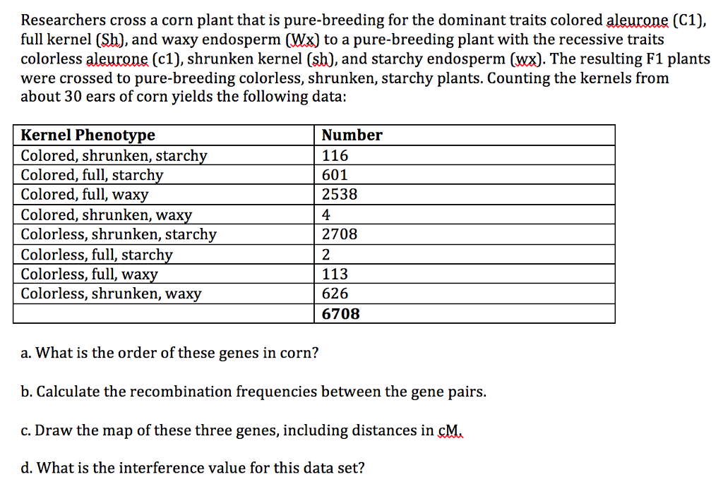 Solved Researchers cross a corn plant that is pure-breeding | Chegg.com