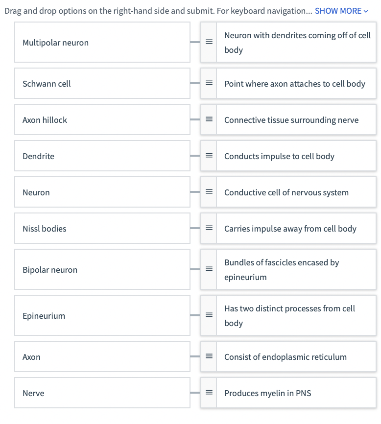 Solved Drag and drop options on the right-hand side and | Chegg.com