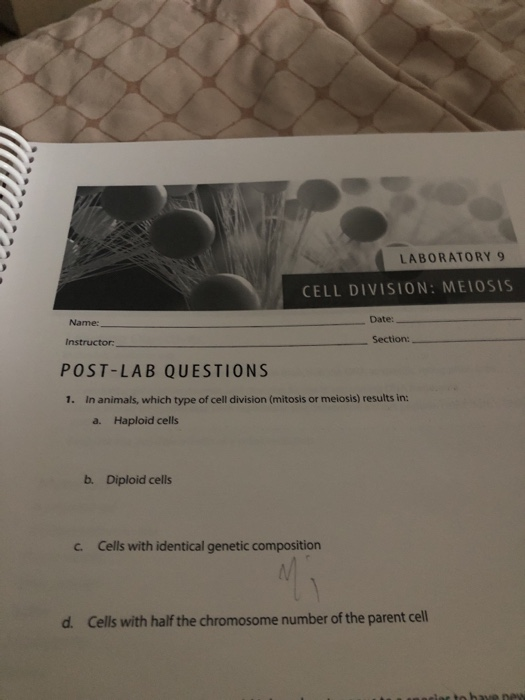 Solved LABORATORY 9 CELL DIVISION: MEIOSIS Date: Name: | Chegg.com