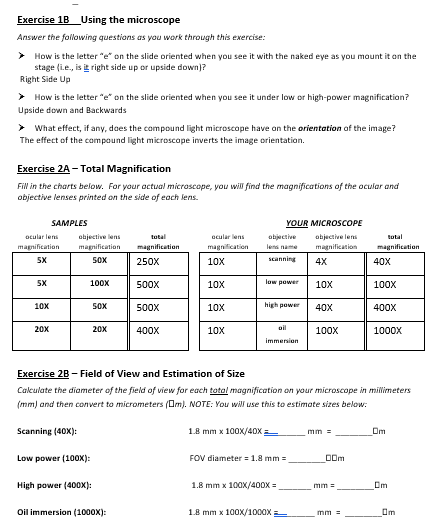 Exercise 1B_Using the microscope Answer the following | Chegg.com