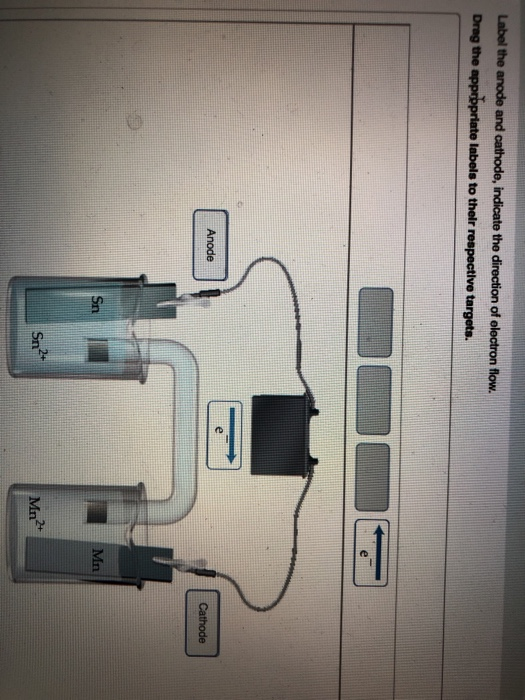 Solved Label the anode and cathode, indicate the direction | Chegg.com