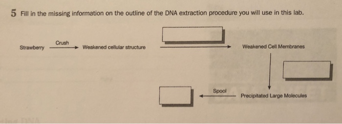Solved 5 Fill in the missing information on the outline of | Chegg.com