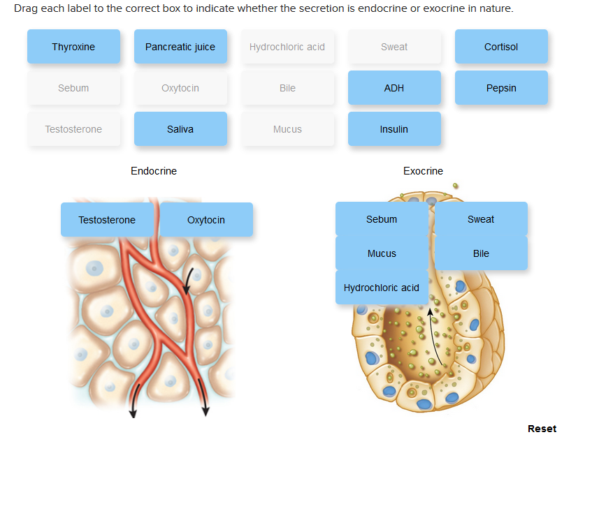 Solved Drag each label to the correct box to indicate | Chegg.com