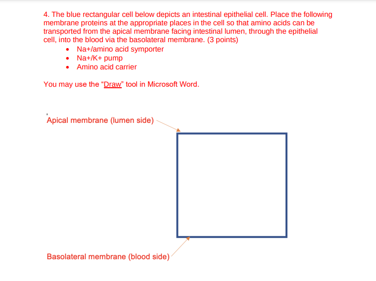 Solved 4. The blue rectangular cell below depicts an | Chegg.com