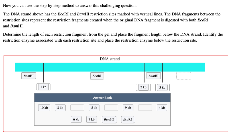 Solved This tutorial will take you step-by-step through the | Chegg.com