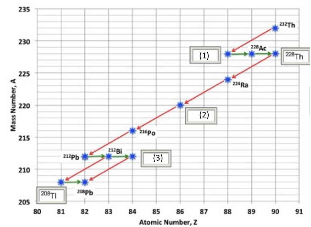 Solved A radioactive Iodine I-131 has a half-life of 8.6 | Chegg.com