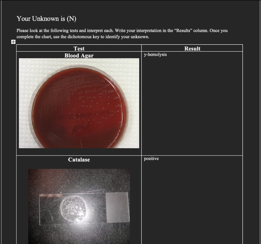 Solved UNKNOWN RESEARCH PROJECT This project is your quest | Chegg.com