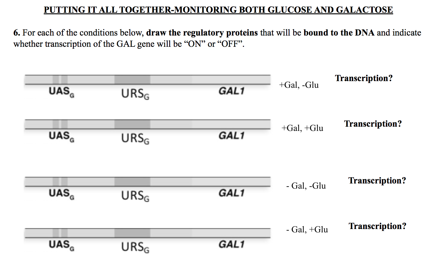 Galactose Utilization Pathway In Yeast An Example Of